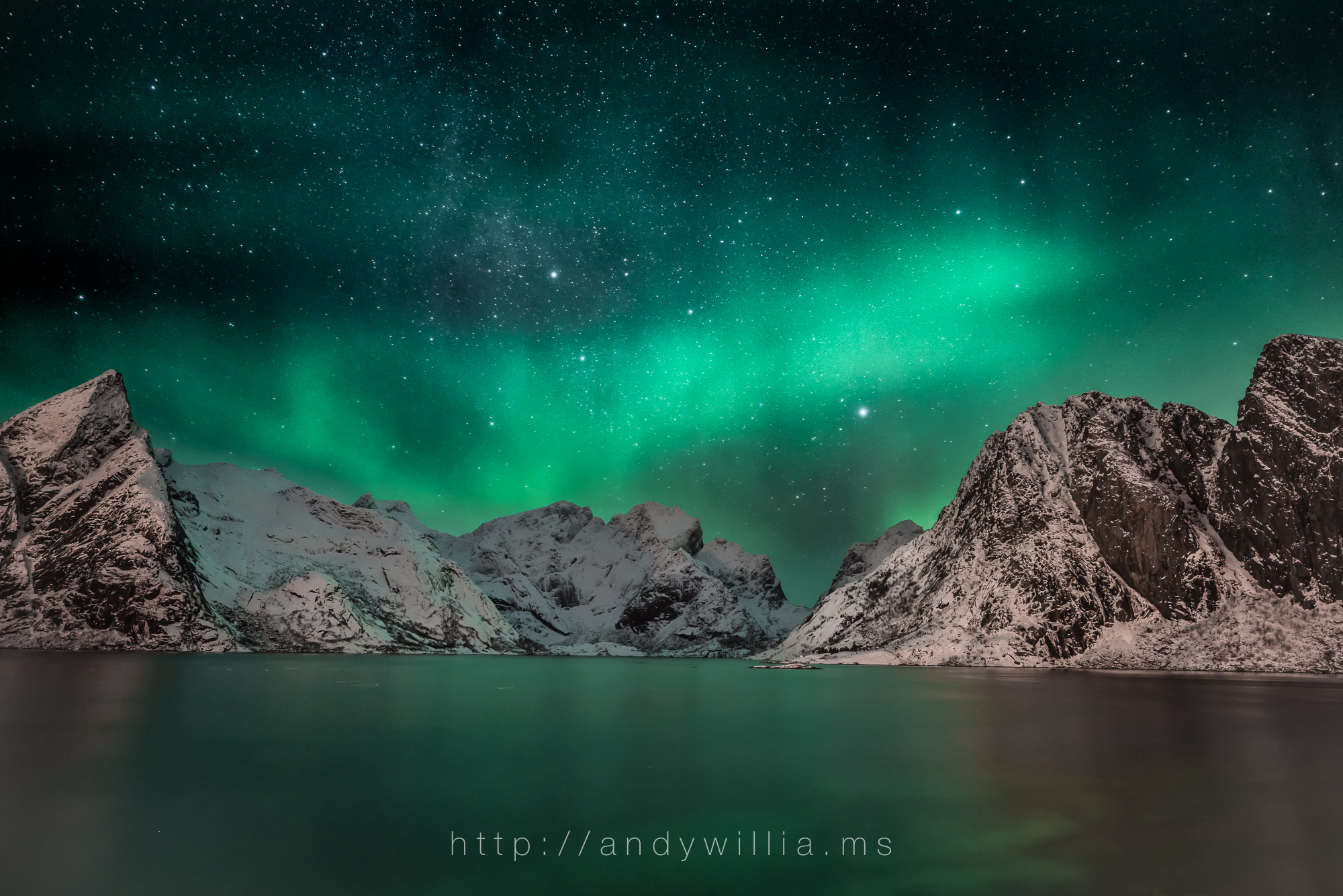 Get to Know Andy Williams | Muench Workshops