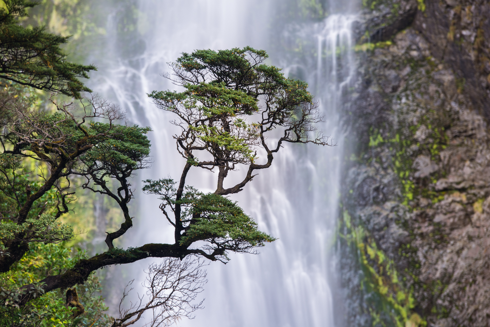 Neil Protheroe | Muench Workshops