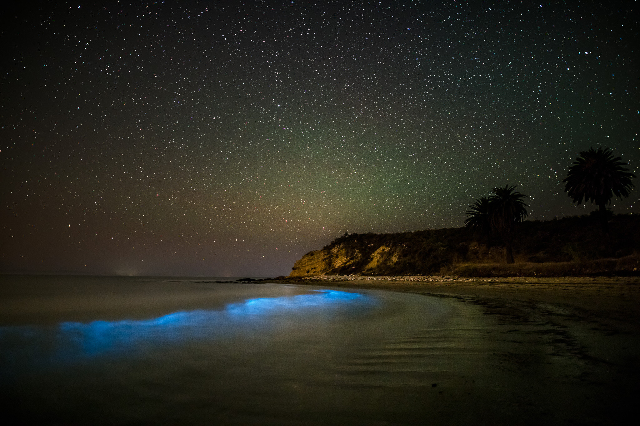 Marc Muench | Muench Workshops
