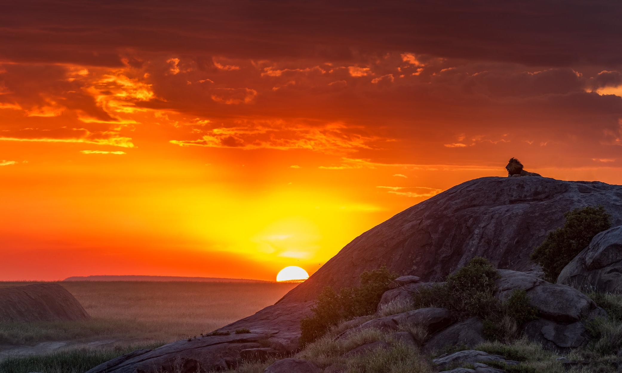 Marc Muench | Muench Workshops