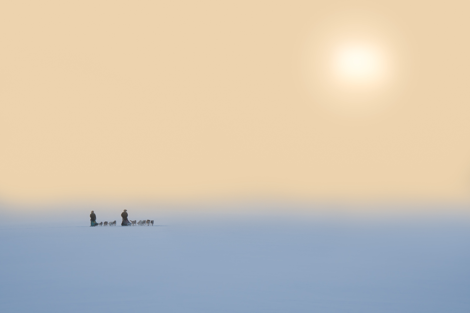 Andy Williams | Muench Workshops