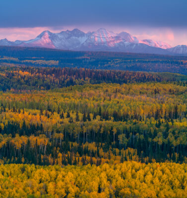 Matt Payne | Muench Workshops