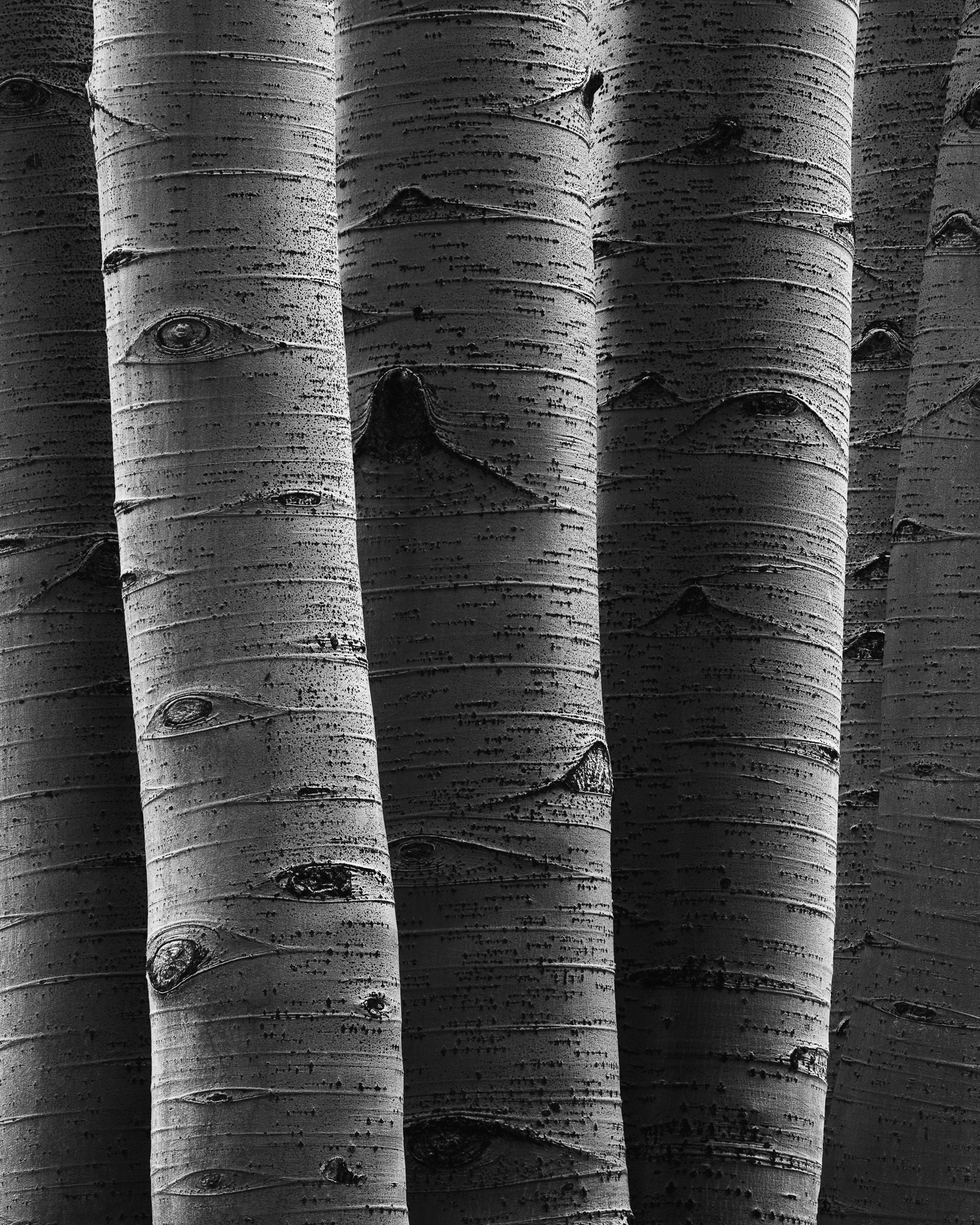 Matt Payne | Muench Workshops