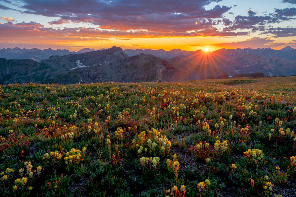 Matt Payne | Muench Workshops