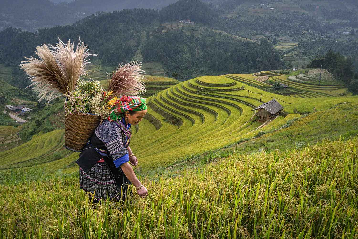 Muench Workshops | Small group, all-inclusive photo workshops