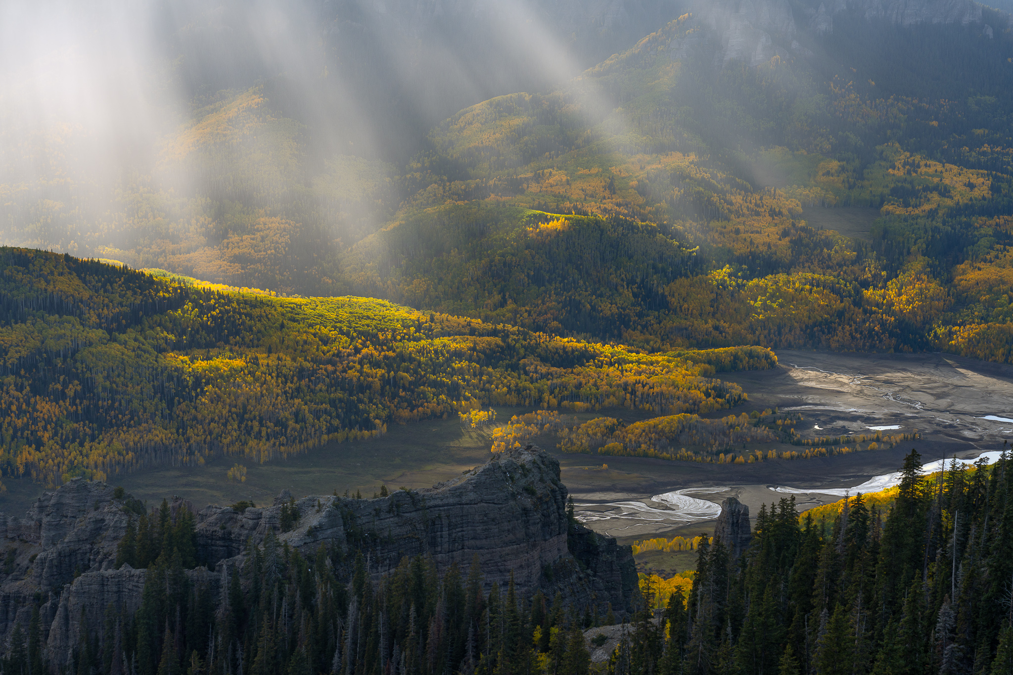 Get to Know Matt Payne | Muench Workshops