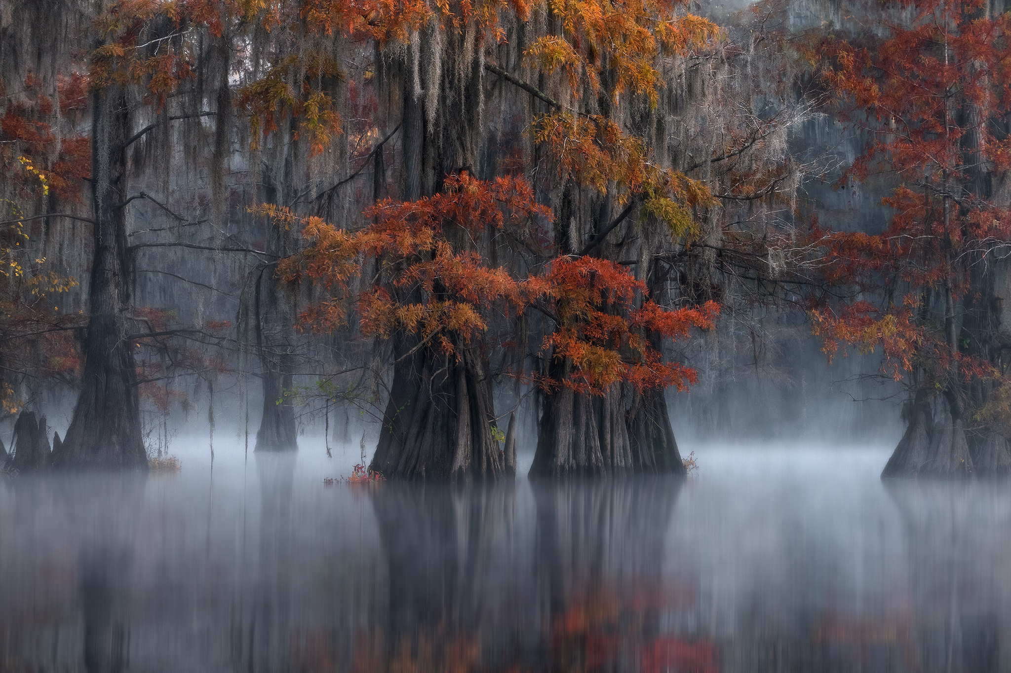 David Thompson | Muench Workshops